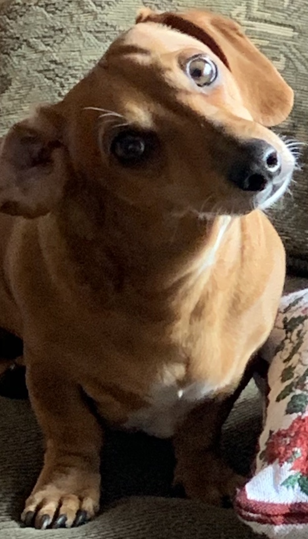 I Have A Website!!!!! – The Rolo Man