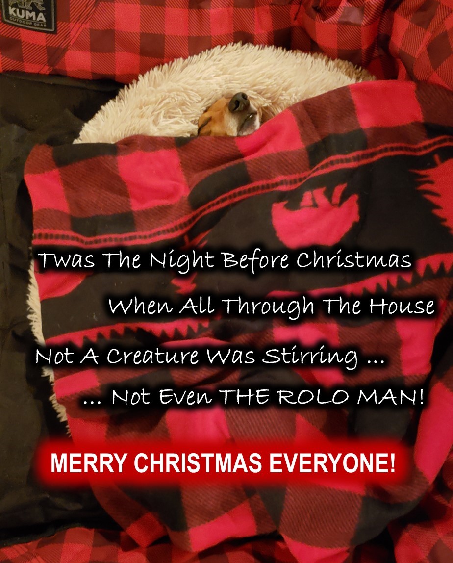 Rolo’s Ritings – The Rolo Man