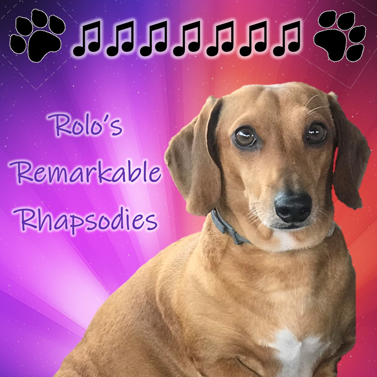 CD’s/Music – The Rolo Man