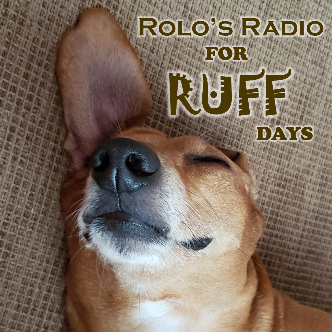 Rolo’s Radio For RUFF Days – The Rolo Man