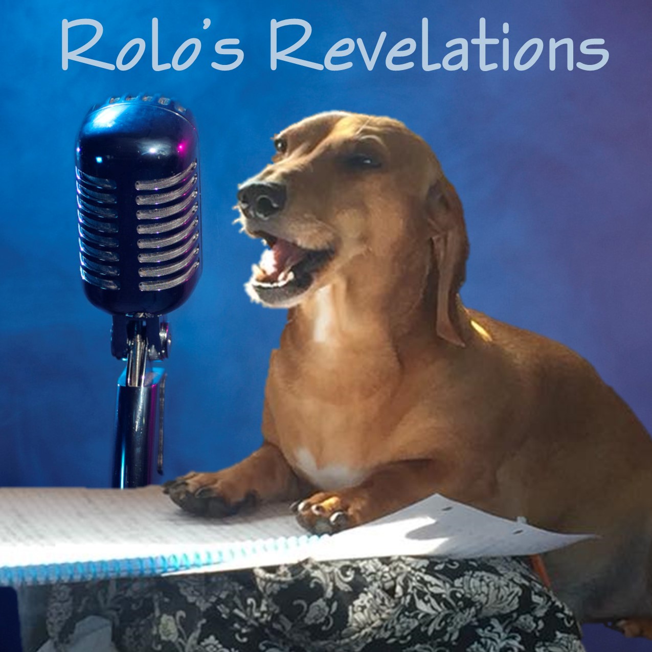 Rolo’s Revelations – The Rolo Man