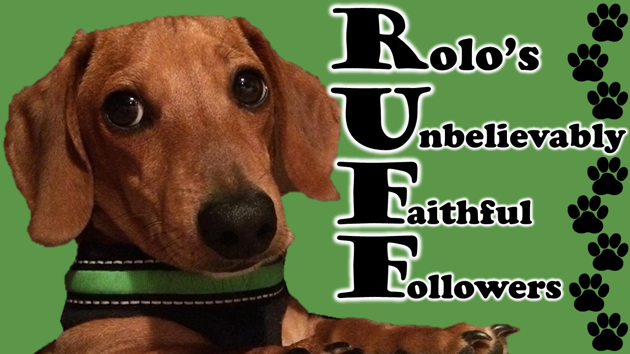 Become A RUFF – The Rolo Man